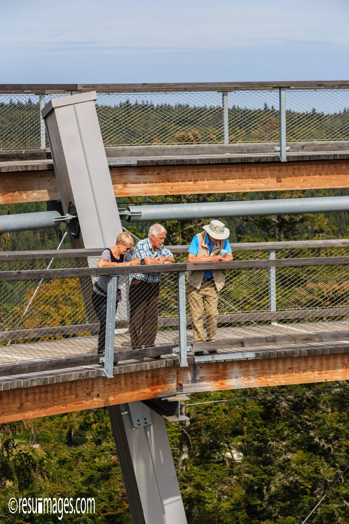 Suspension Bridge / Treetop Tower